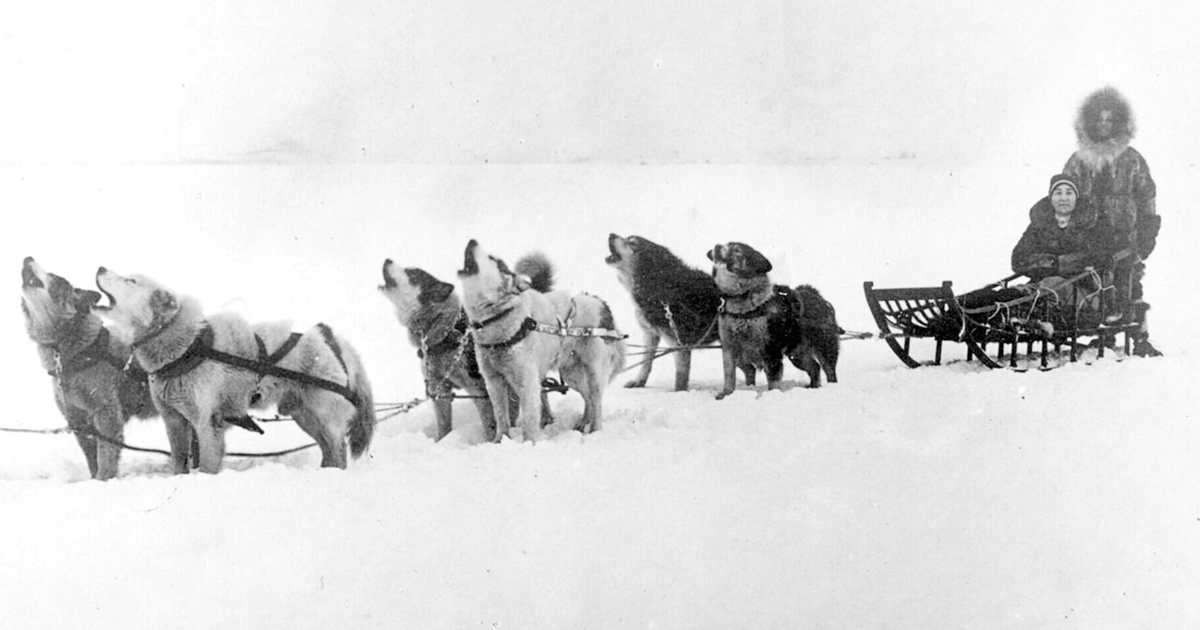 The Serum Run: Heroic Dogs and Mushers