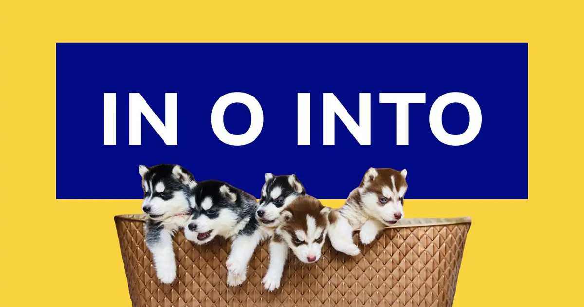 'In' o 'into'? La differenza che molti italiani ignorano in inglese