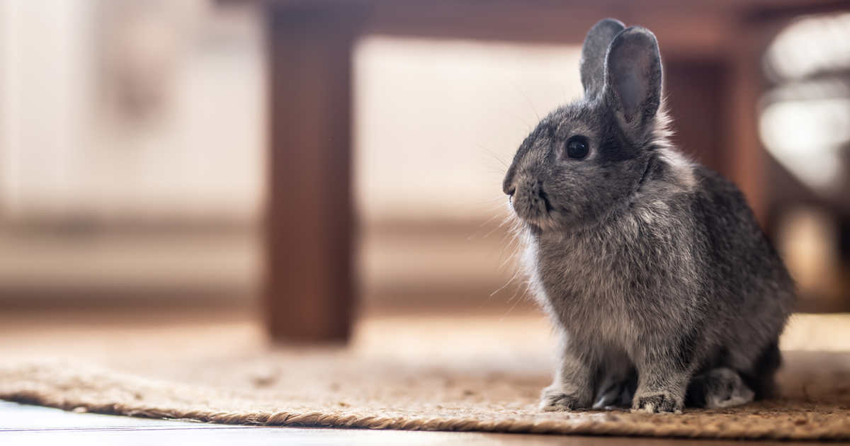 Do You Know London Cockney Rhyming Slang?