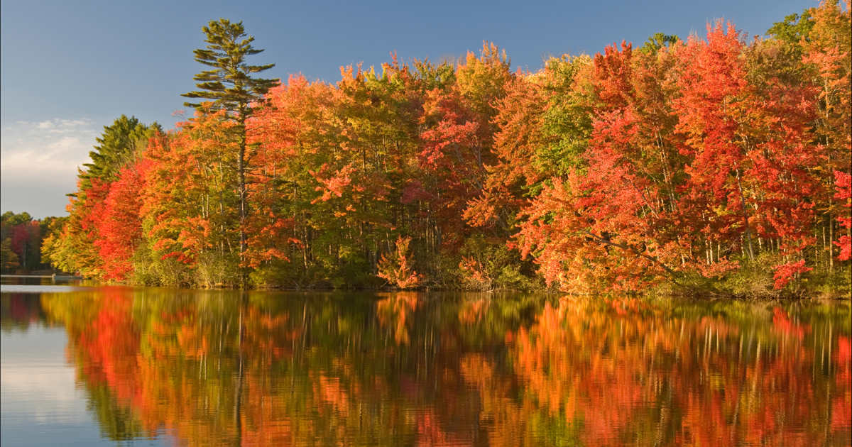 The Spectacular Autumn Colours Of New England