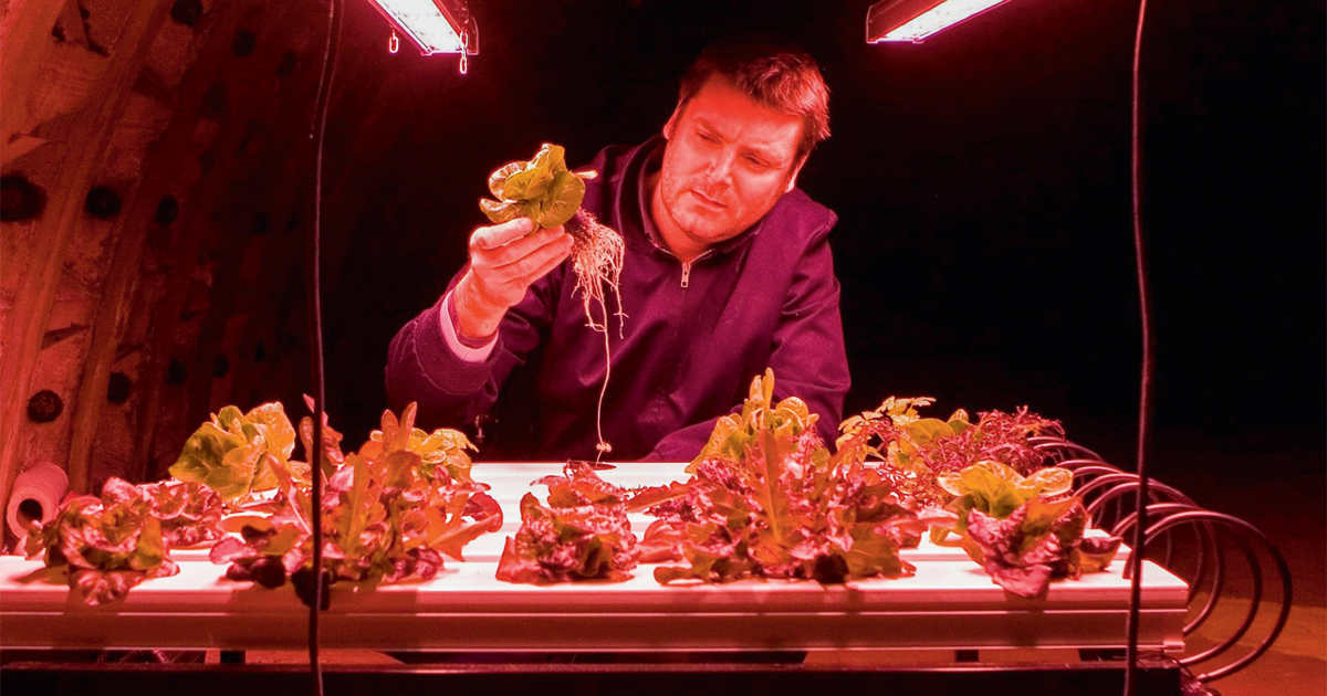 Growing Underground: Food For The Future