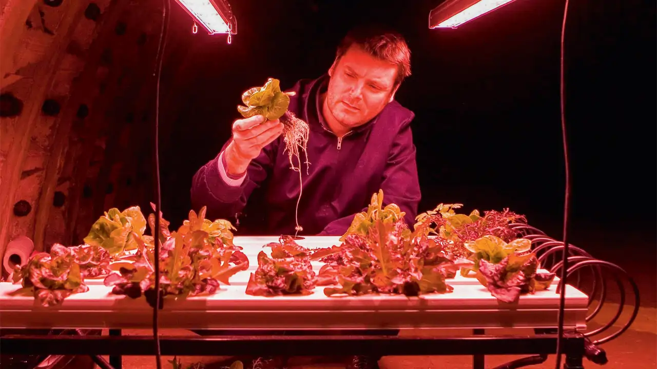 Growing Underground: Food For The Future