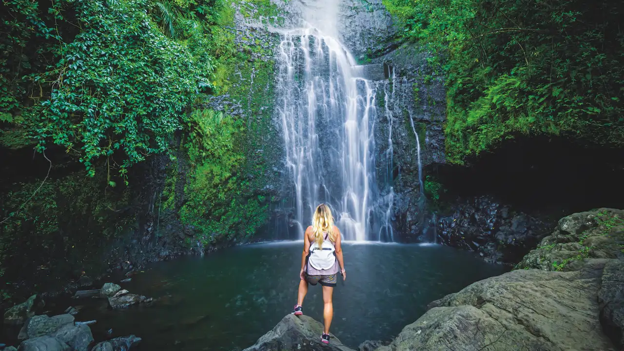 Aloha Hawaii! The Tropical State