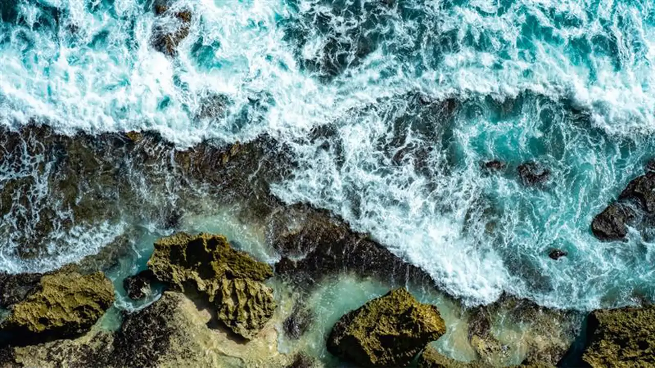 Walt Whitman, icona della poesia inglese: "Il linguaggio impregna ogni ...