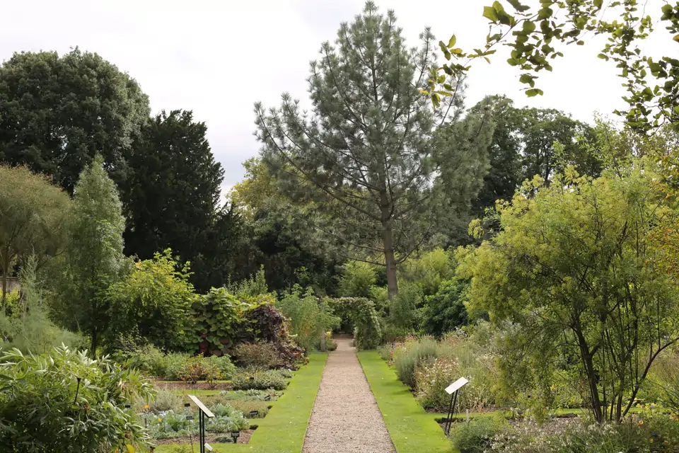 Nature in London: Secret Gardens