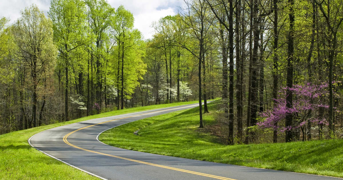 Natchez Trace Parkway: The Road To Mississippi